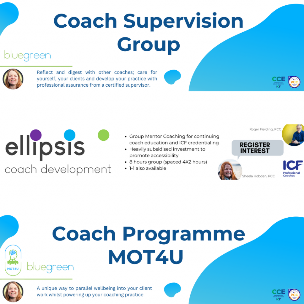 Coaches CPD Bundle - bluegreen coaching